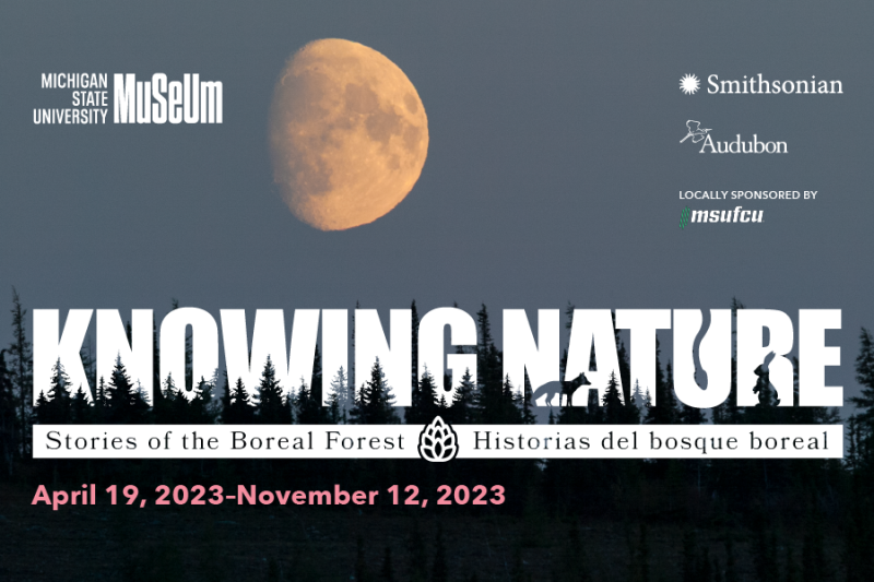 Smithsonian traveling boreal forest exhibition launches national tour ...