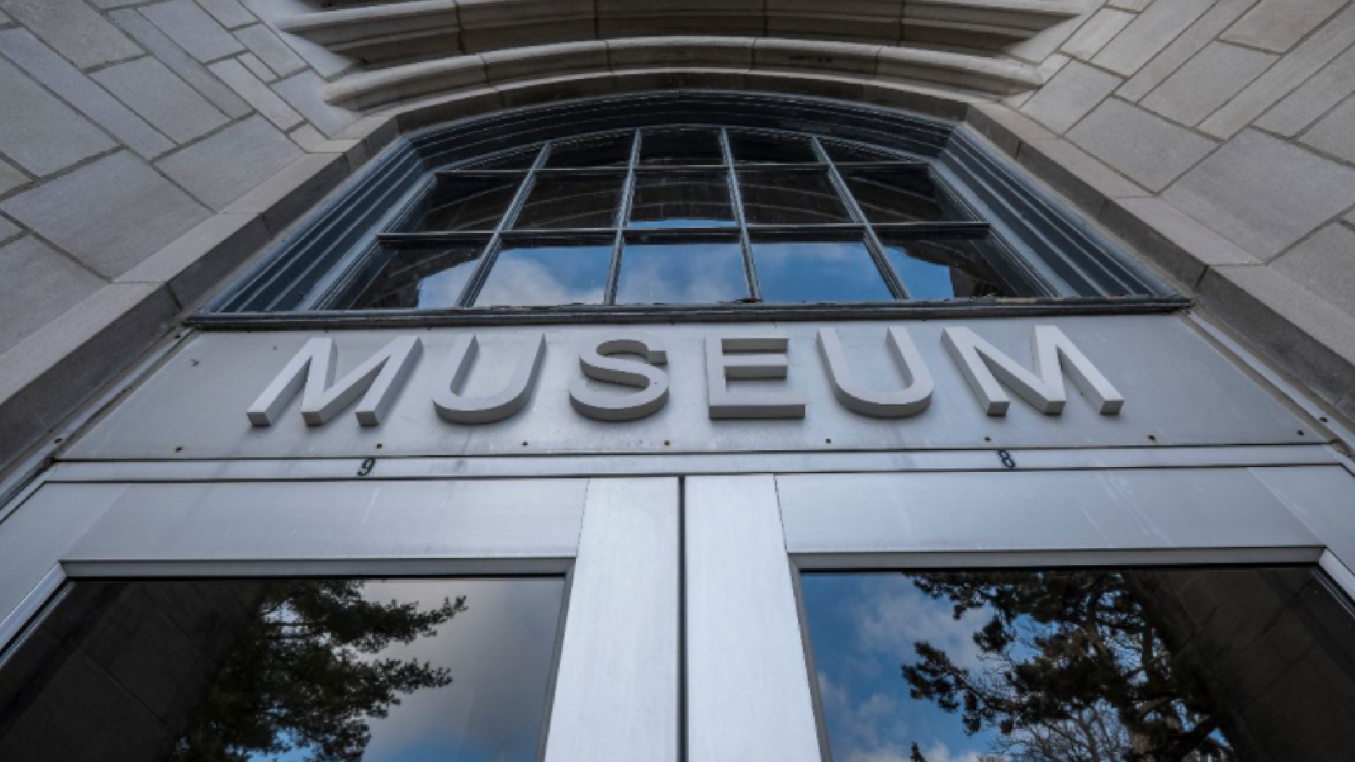 Spring 2022 Excellence in Museum Practice Internship - MSU Museum