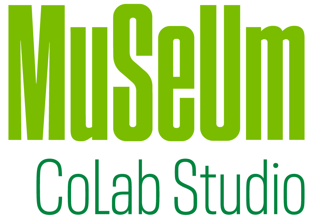 CoLab Rapid Residency - MSU Museum