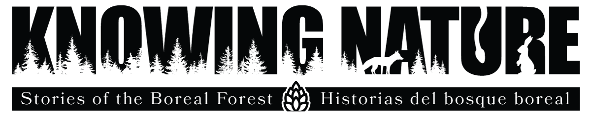 Knowing Nature - MSU Museum