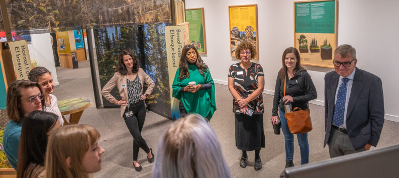 About the Museum - MSU Museum