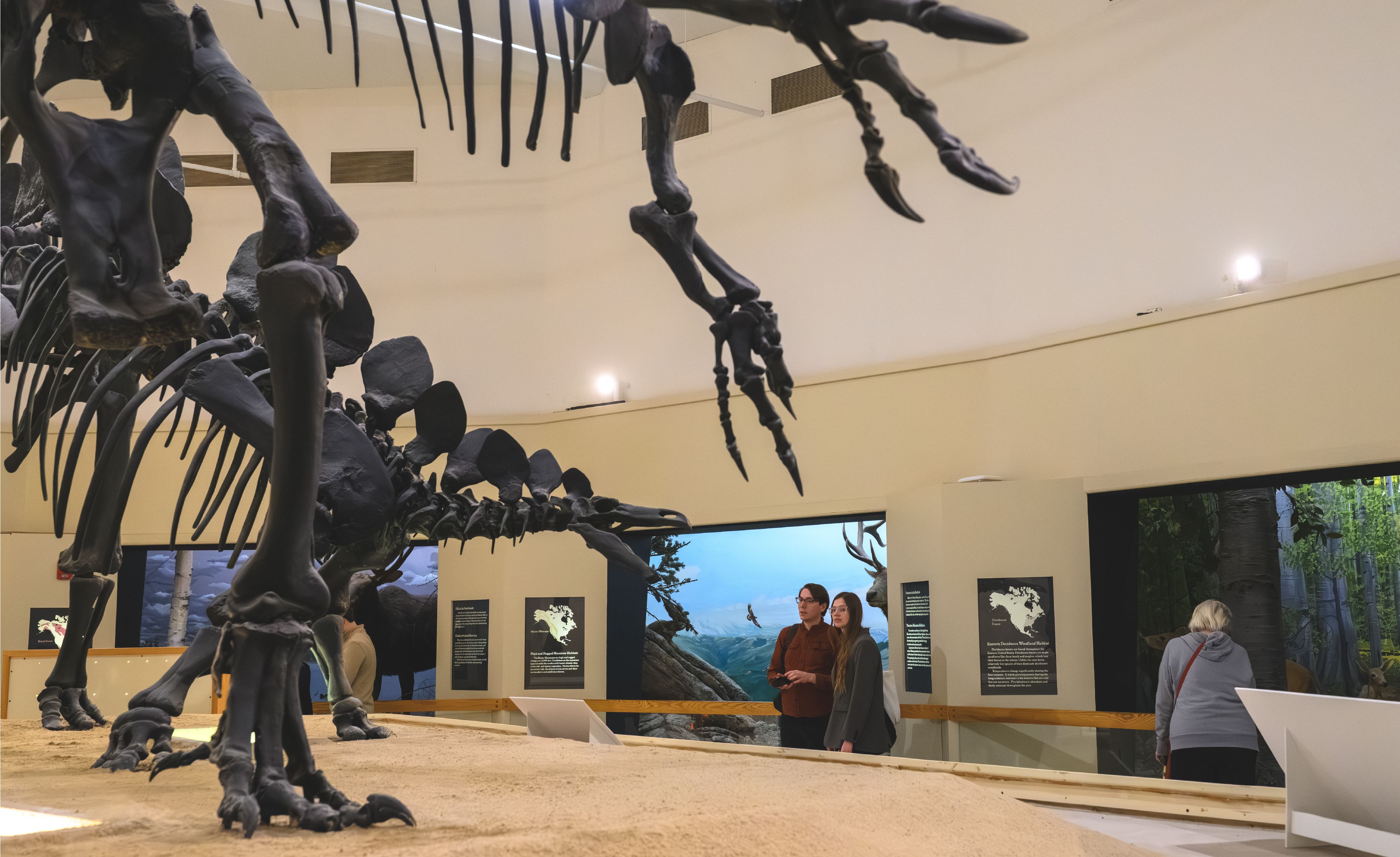 Habitat Hall - MSU Museum